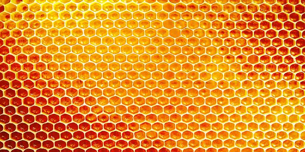 What the Hive Tells Us About the Future of Ransomware
